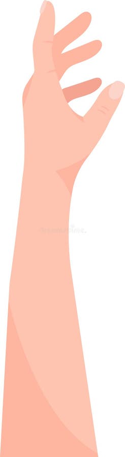 Human Hand Palm stock vector. Illustration of vector - 299870287