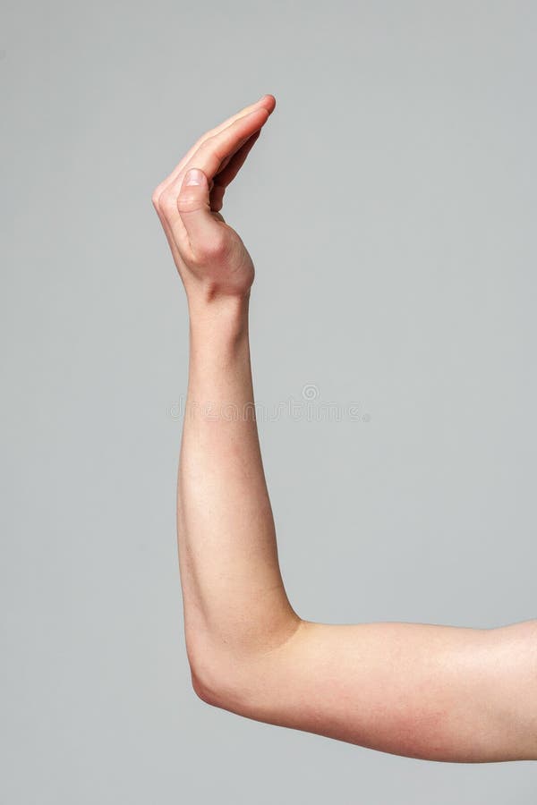 Human Hand Raised Against a Neutral Gray Background in a Studio Setting ...
