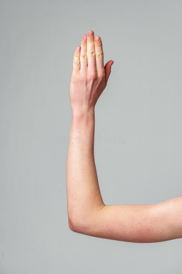 Human Hand Raised Against a Neutral Gray Background in a Studio Setting ...
