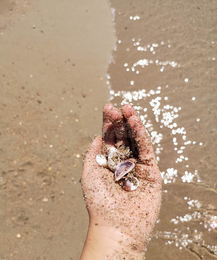 Human Hand with Sand and Shells on Beach Stock Photo - Image of water ...