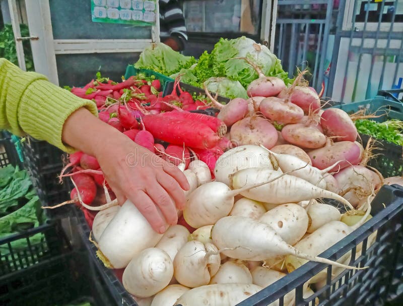 A Human Hand Selects Vegetables and Fruits from a Box at the Market ...
