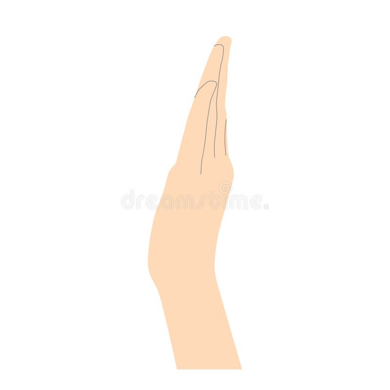 Human Hand Side Palm with Folded Fingers, Beige with Lines To Emphasize ...