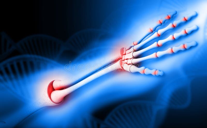 Human hand skeleton stock illustration. Illustration of joints - 97834608
