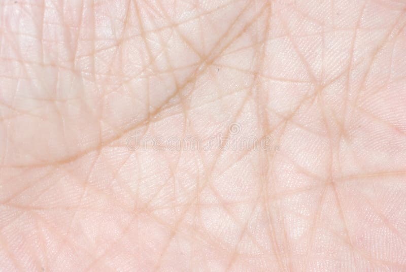 Human Hand Skin Texture