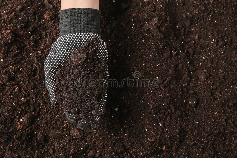 Hand with soil stock photo. Image of environment, botany - 19766080