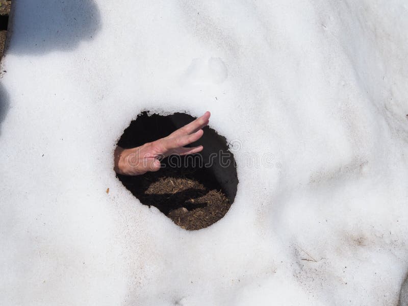 A Human Hand Sticking Out of the Snow in the Mountains Stock Image ...