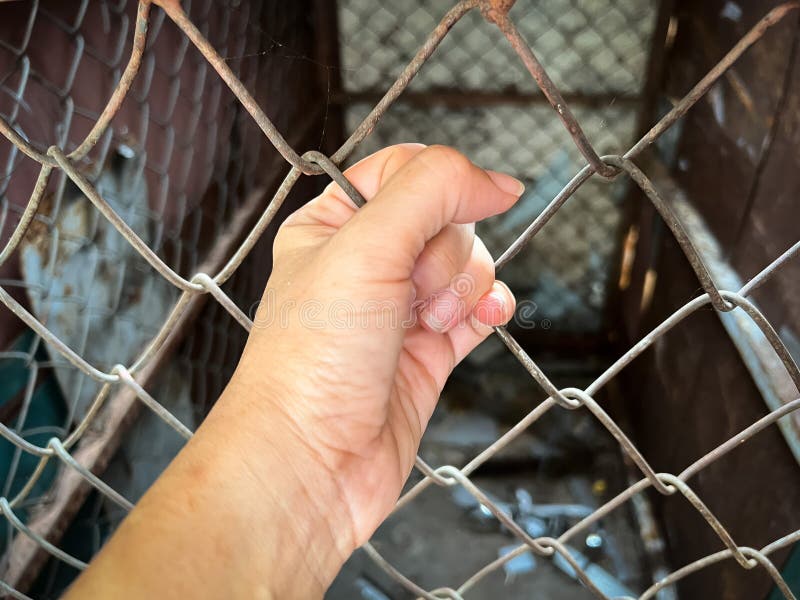 Human Hand Touch on Old and Rust Chain Link Mesh,sign and Symbol for ...