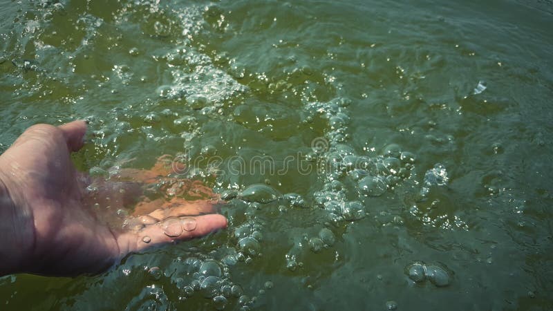 Human hand in water stock photo. Image of bubles, human - 215565400