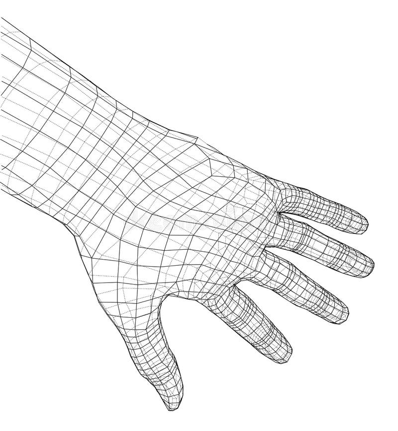 Human Hand Wire-frame. Vector Stock Vector - Illustration of tone ...
