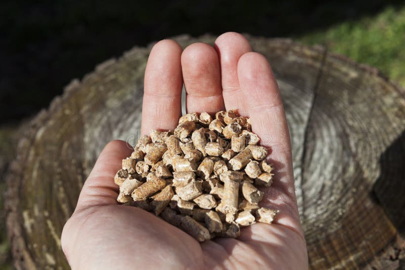 Human Hand and Wood Pellet Next To a Trunk. Stock Image - Image of wood ...