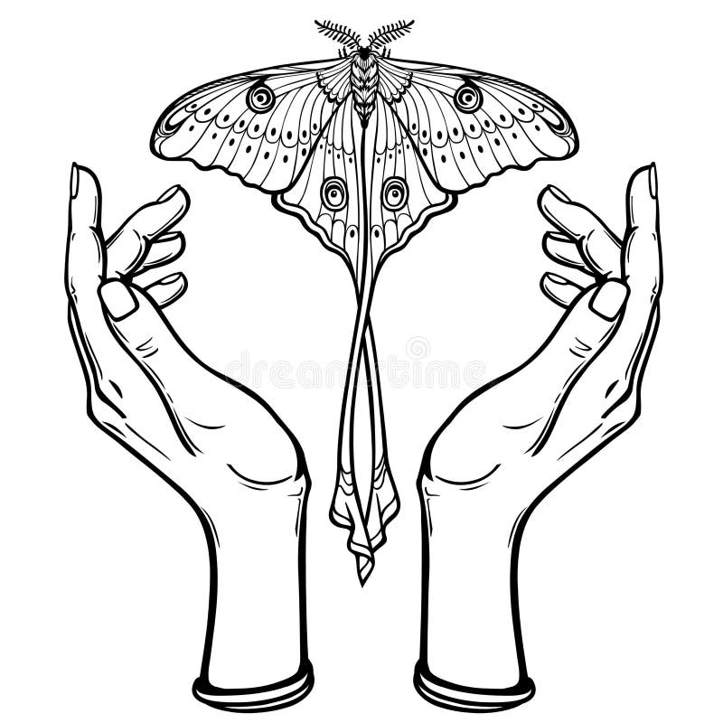 Human With Tail Drawing