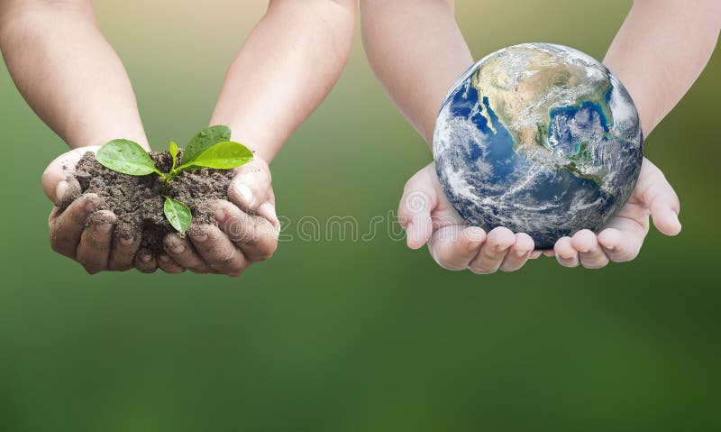Global Goals Tree Sustainable Development Stock Photos - Free & Royalty ...