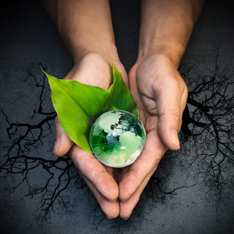 Human Hands Holding a Green Globe of Planet Earth on Green Leaves Stock ...