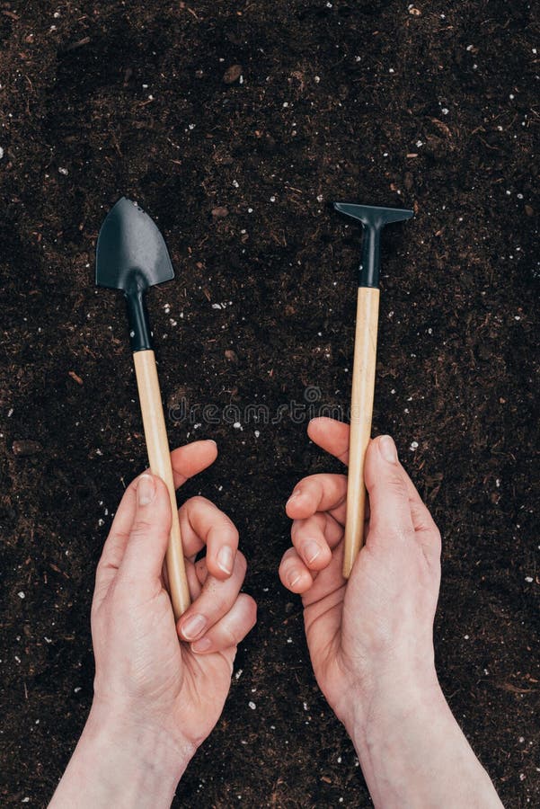 Human Hands Holding Small Gardening Tools Above Soil Stock Image ...