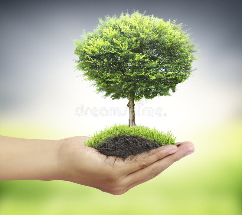 Human hands holding tree stock illustration. Illustration of plant ...