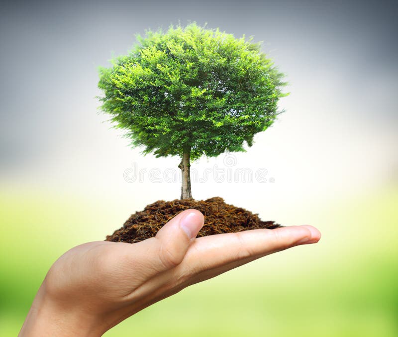 Human hands holding tree stock illustration. Illustration of ...