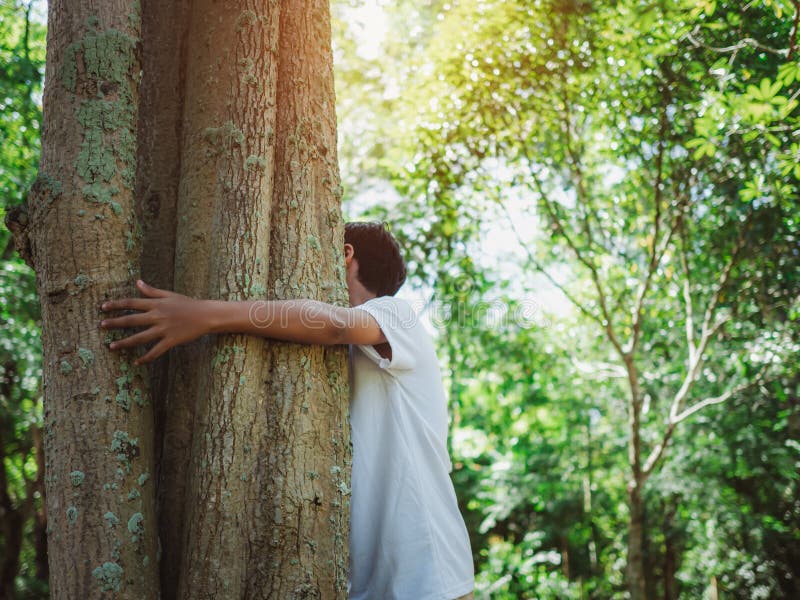 Human Hands are Hugging a Tree in Love. Representing Helping To ...