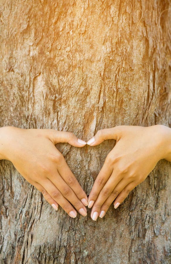 Human hands hugging tree stock photo. Image of ideas - 83279062