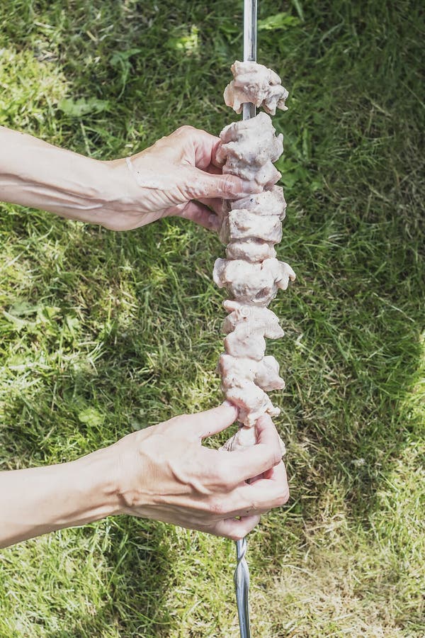 Human Hands There with Meat Skewer Stock Photo - Image of picnic, human ...