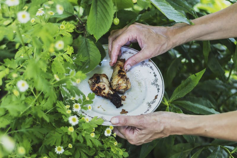 Human Hands There with Meat Skewer Stock Photo - Image of hands, picnic ...