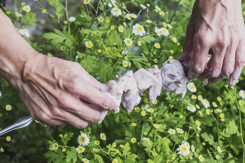 Human Hands There with Meat Skewer Stock Image - Image of meat, meal ...