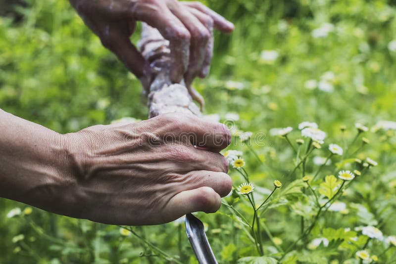 Human Hands There with Meat Skewer Stock Photo - Image of barbecue ...