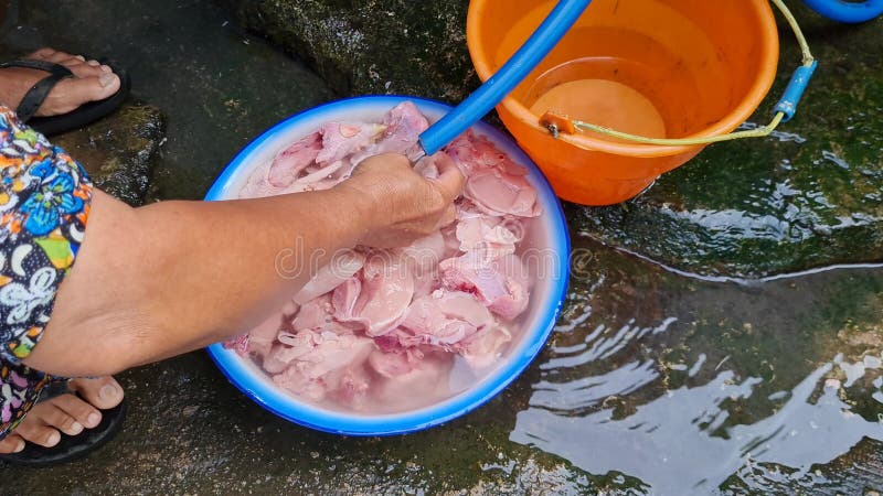 Human Hands Washing Chicken Meat Stock Footage - Video of infectious ...