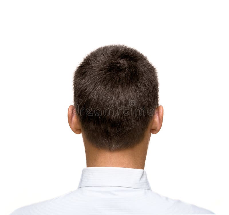 Human head stock image. Image of dimensional, focus, health - 10845909