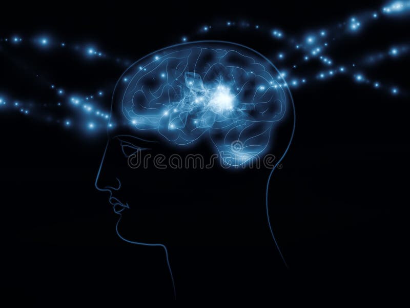 Human head and brain stock illustration. Illustration of head - 23937437