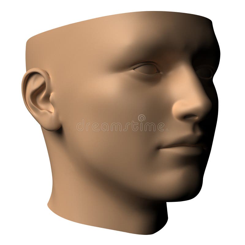 Blank White Female Head - Side and Front View Stock Illustration ...