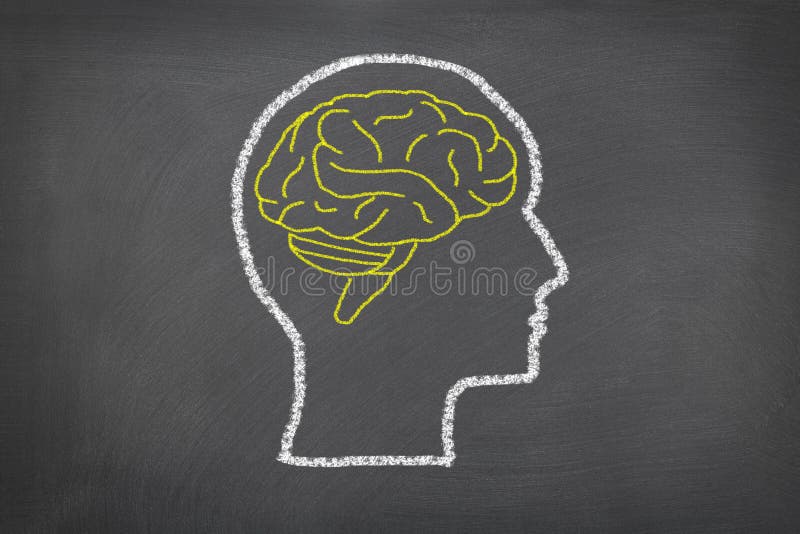 Human head and brain stock photo. Image of brilliance - 230299786