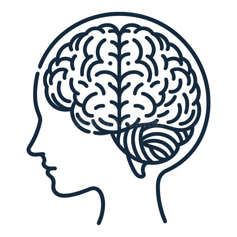 Human Head and Brain Drawing Line, Vector Illustration Stock Vector ...