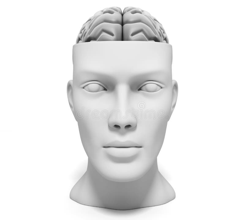 Human head with brain stock illustration. Illustration of anatomy ...