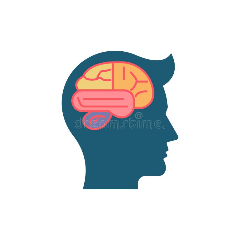 Human Head with Brain. Neurology. Vector Illustration Stock Vector ...