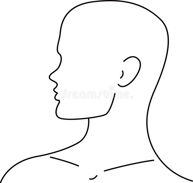 Human Head and Chest Line Illustration Stock Illustration ...