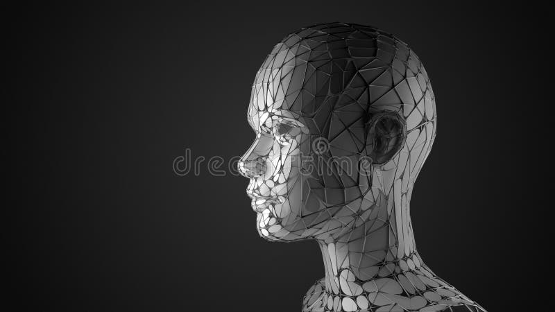Human Head 3d Illustration, Stylized Female Wireframe Portrait Stock ...