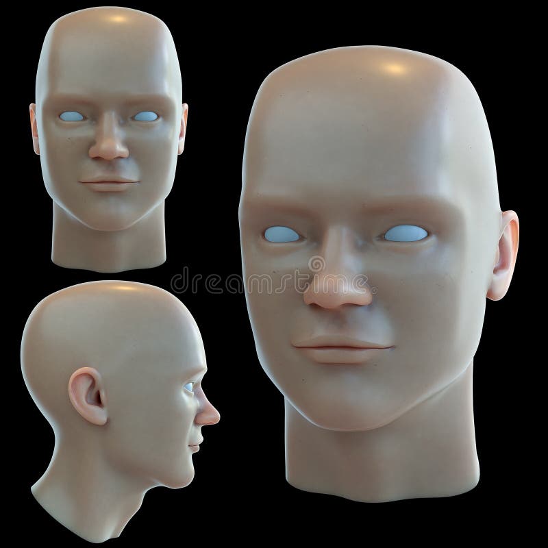 Human head stock illustration. Illustration of portrait - 164003740