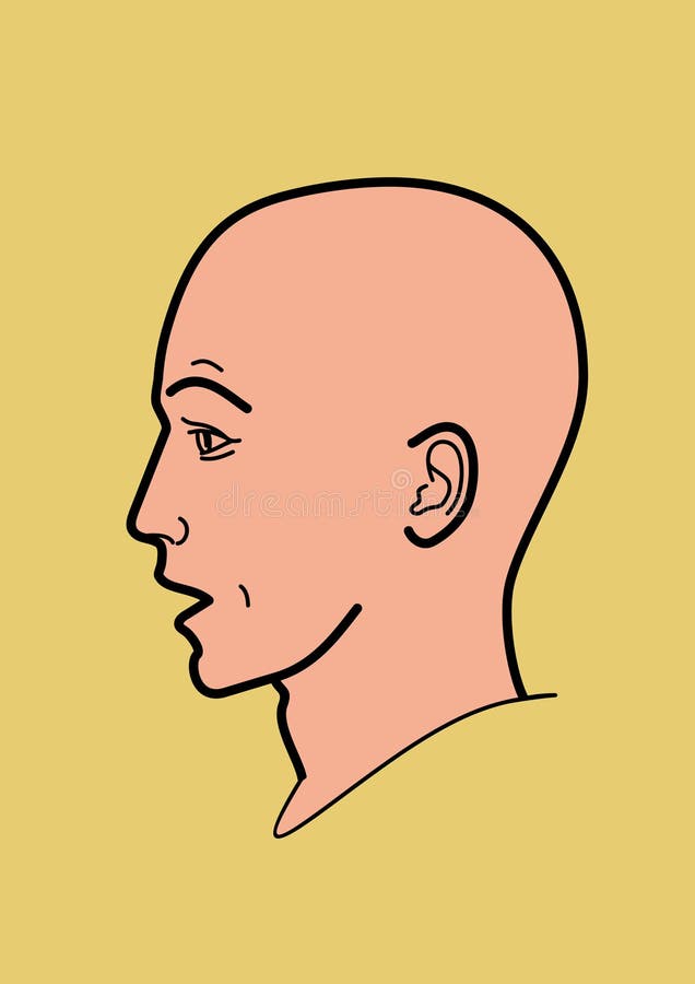 Human Head. a Man`s Brain is Open. Abstract Form of an Open Human Head ...