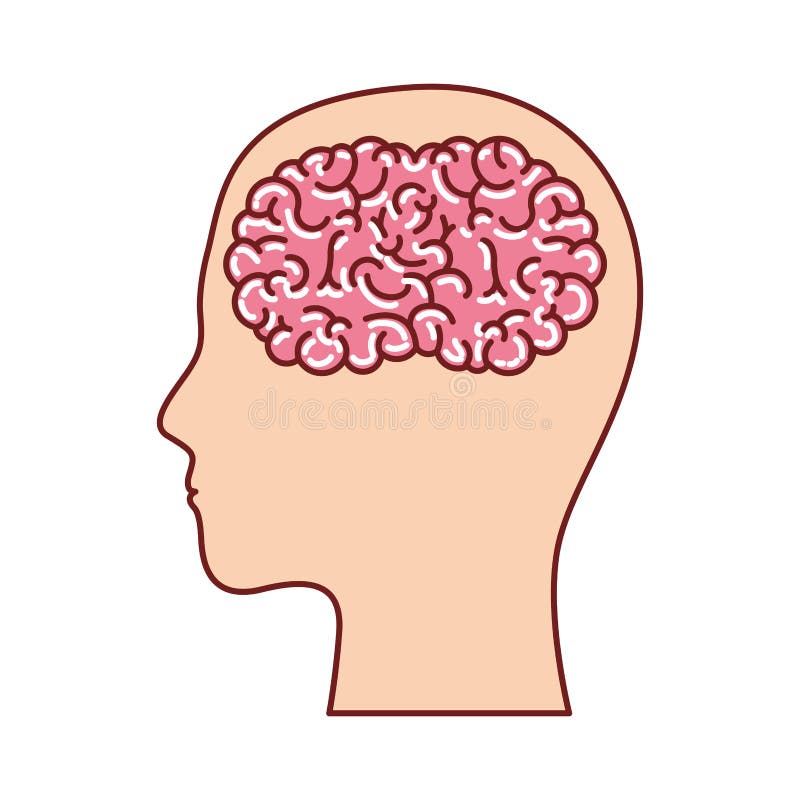 Brain In Head Clipart