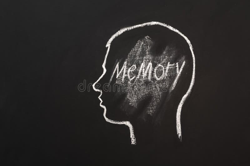 Human Head with Inscriptions Memory on Chalkboard Stock Image - Image ...