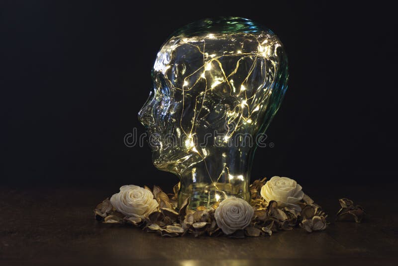 Head Brain Eyes Ears Stock Photos - Free & Royalty-Free Stock Photos ...