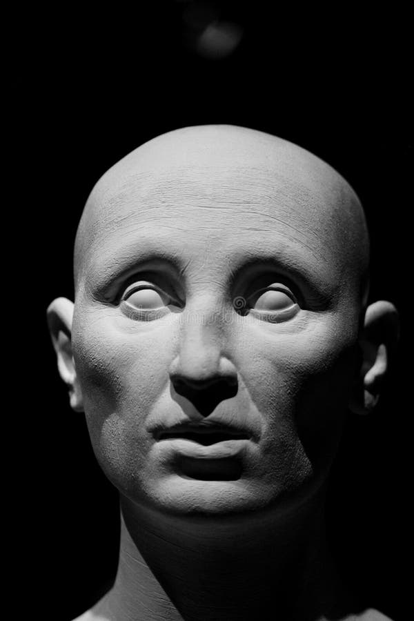 Human head model stock photo. Image of mannequin, chalk - 112118154