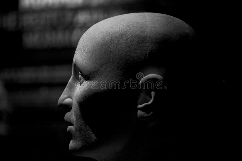 Human head model stock image. Image of female, figure - 112118371