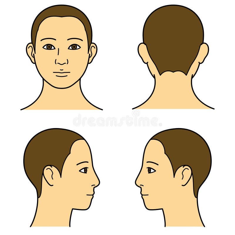 Human Body Outline Front Back Stock Illustrations – 755 Human Body ...