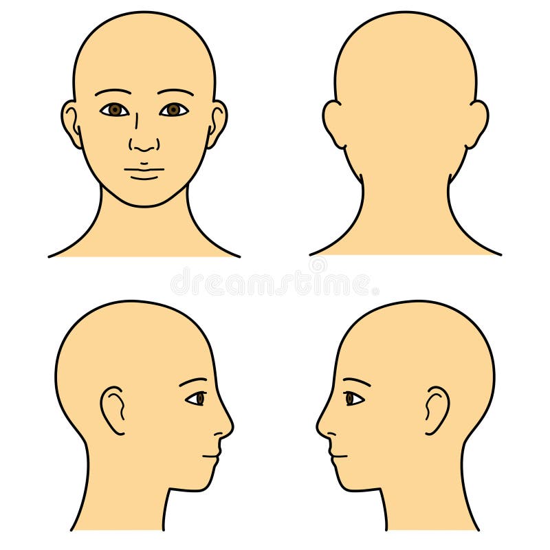 Human Body Outline Front Side Back Stock Illustrations – 317 Human Body ...