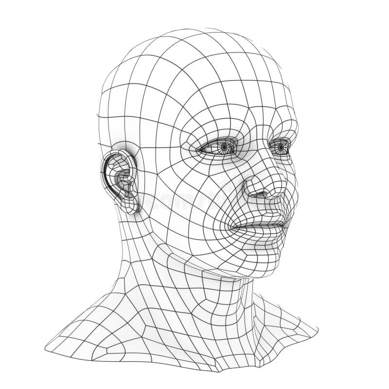 3d Head Wireframe Vector. Drawing of Wireframe Head 3d Model. Vector ... 3d Head Wireframe Vector. Drawing of Wireframe Head 3d Model. Vector ...