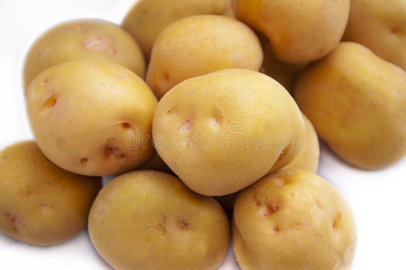 Human health staple food stock photo. Image of edible - 155548684