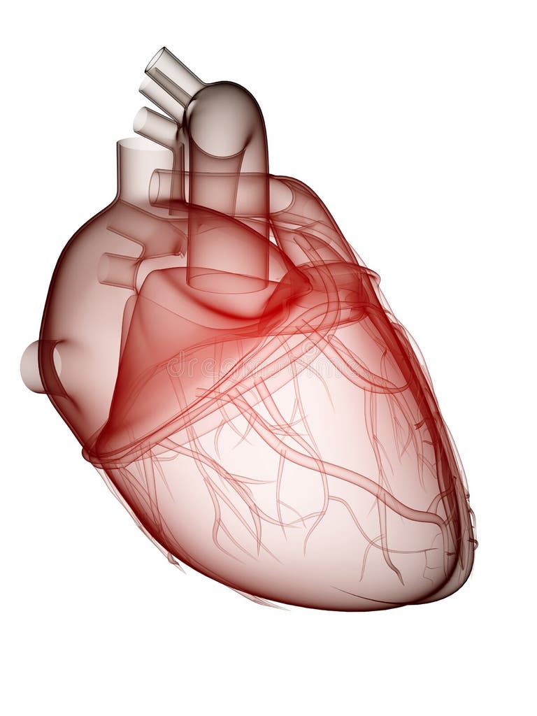 Human Heart Energy Stock Illustrations – 7,145 Human Heart Energy Stock ...