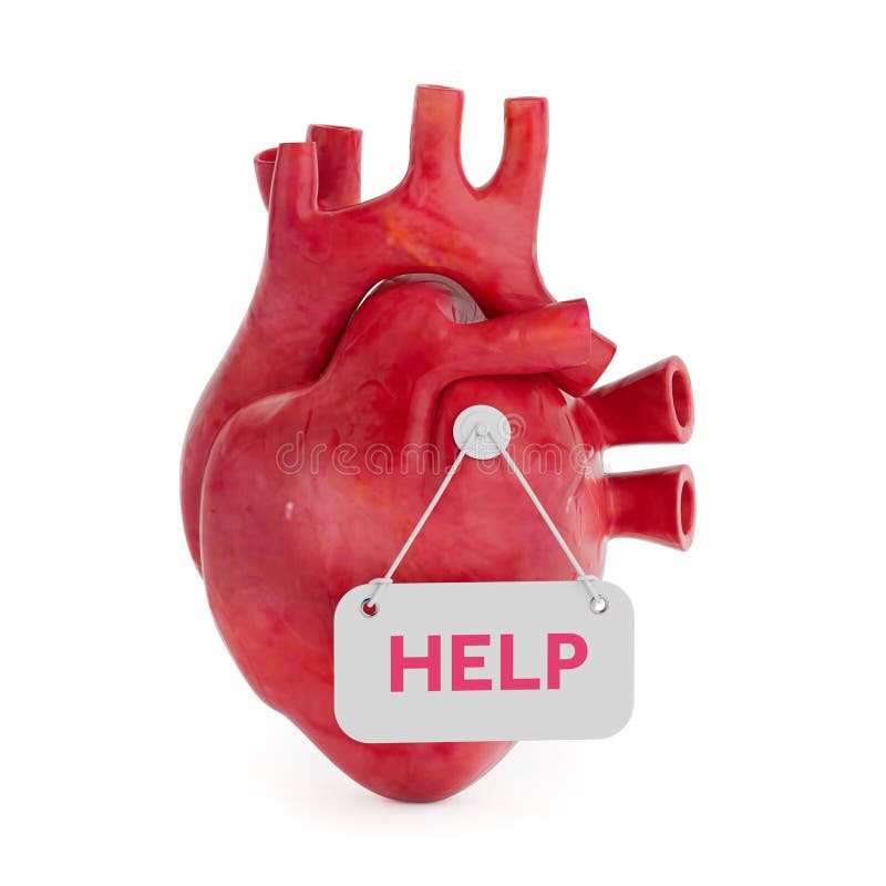 Human Heart Anatomy Internal Organ with Help Sign. 3d Rendering Stock ...