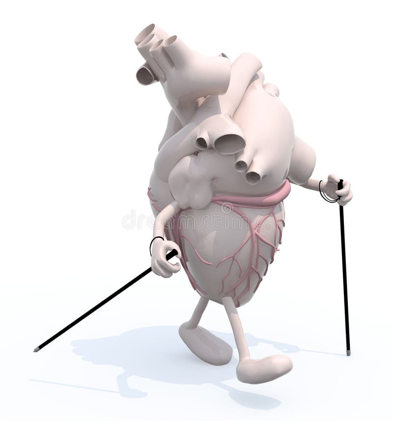 Human Heart with Arms and Legs,that S Walking with Sticks Stock ...
